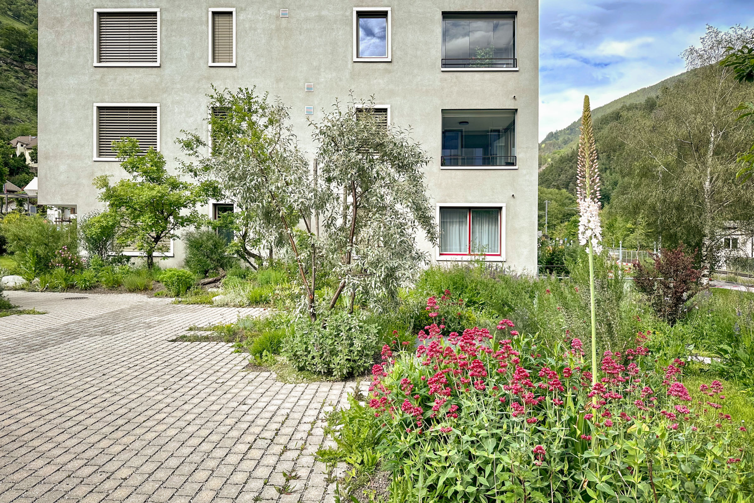 Remise des prix « Jardins & espaces publics Valais » 2024 : Le ...